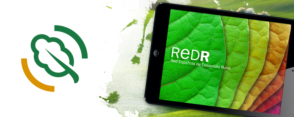 Redr-1 - Estudio Villanueva